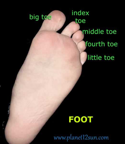 Ouch My Toe Andrea Althoff